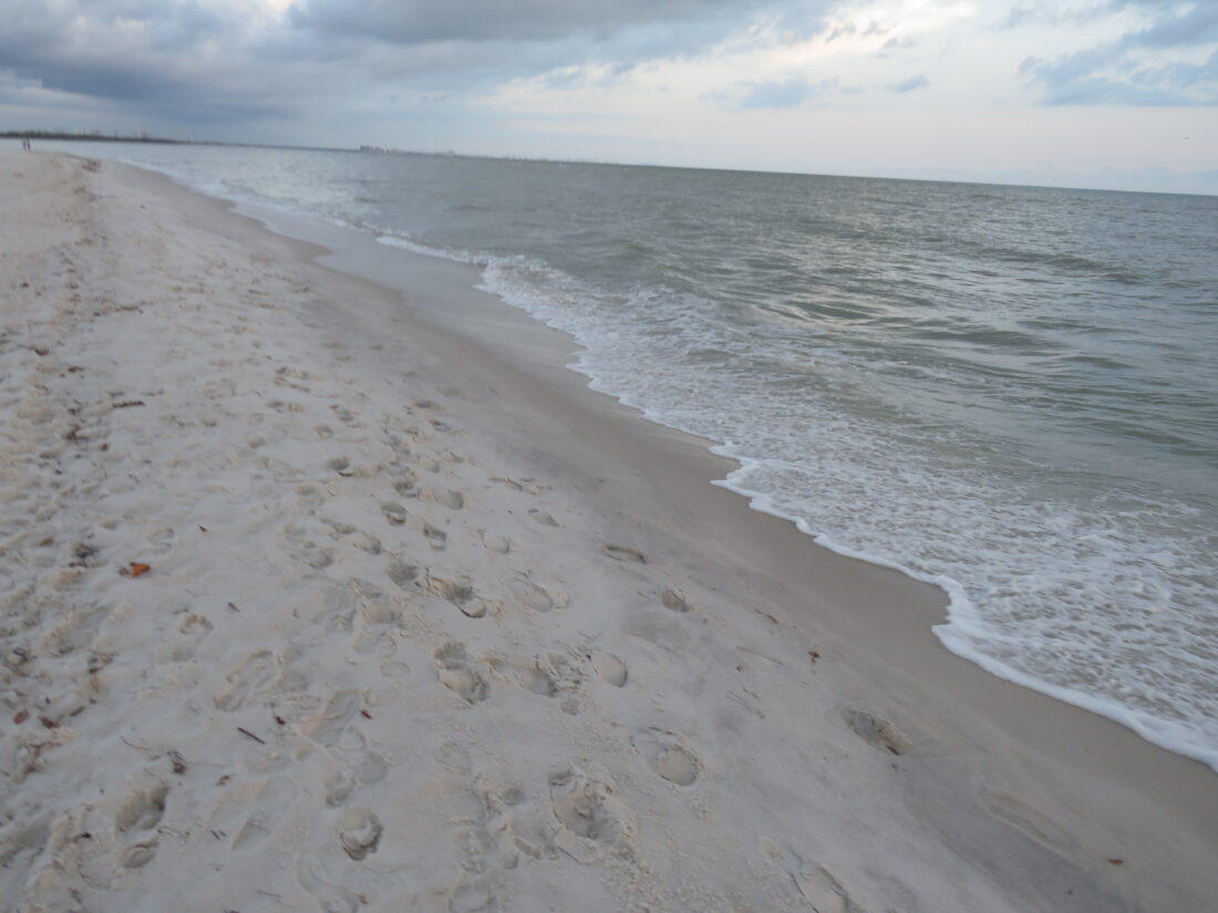 FWC confirms active shorebird nesting numbers as beach renourishment project extends to June ...